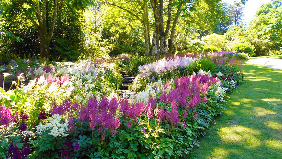 Der Garten Detmold
